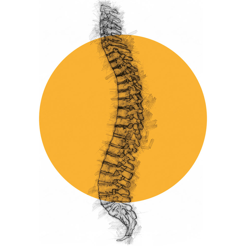 Therapeuten | Privatpraxis OTMP Manz & Piehler
